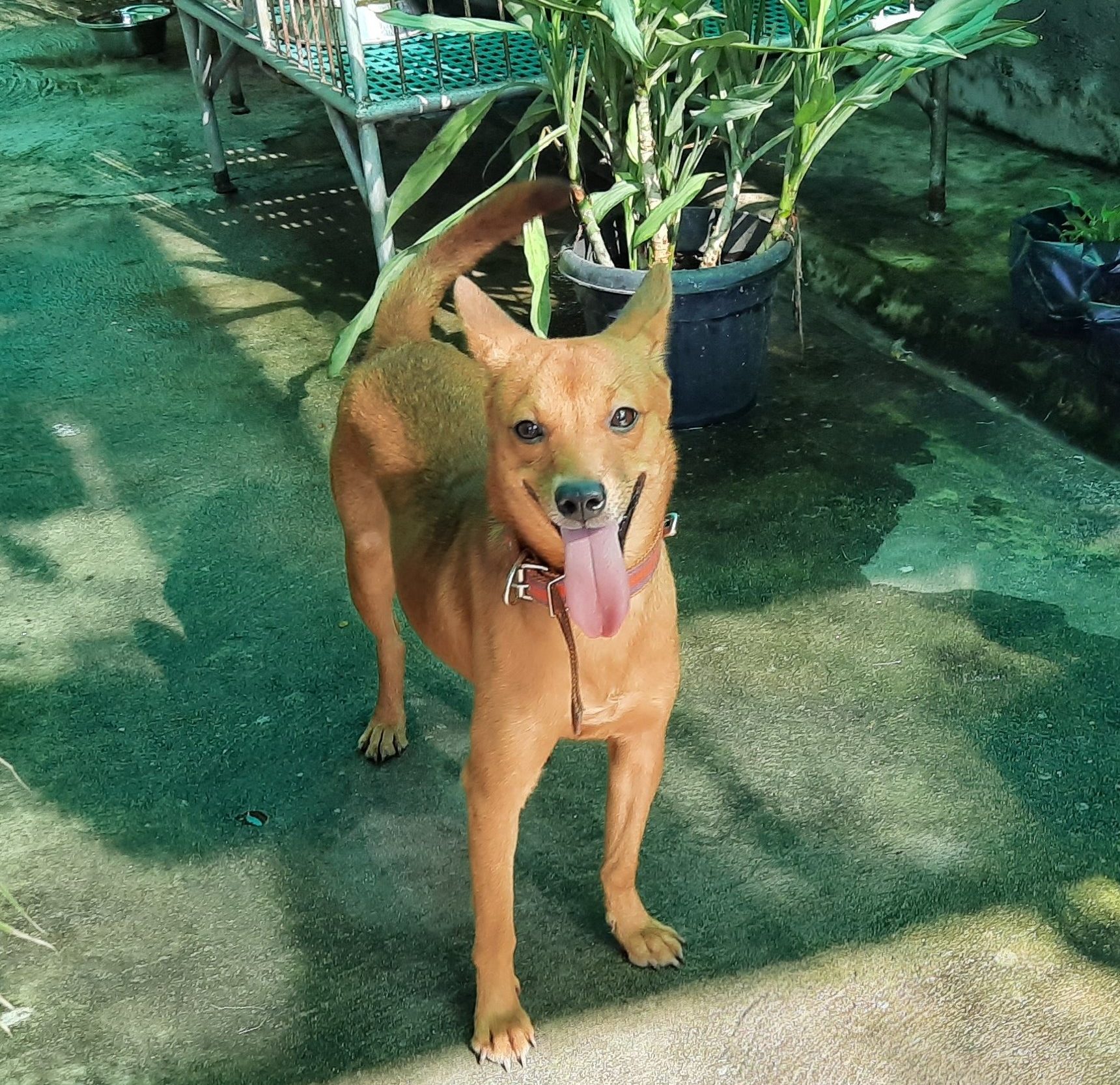 IWCT - News and Blog