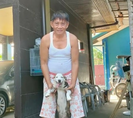 Benjie, the little puppy found on the streets whose future we were unsure