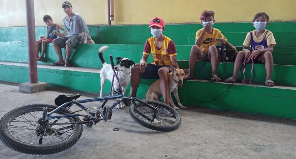 IWCT - Rabies awareness and vaccinations in the Philippine