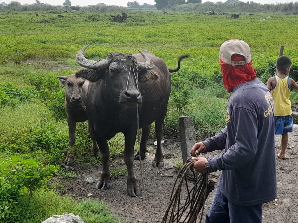 IWCT - News and Blog