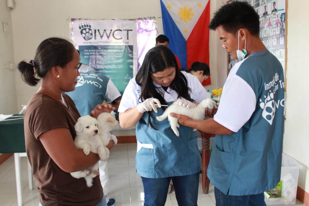 Campaigns Archive - IWCT