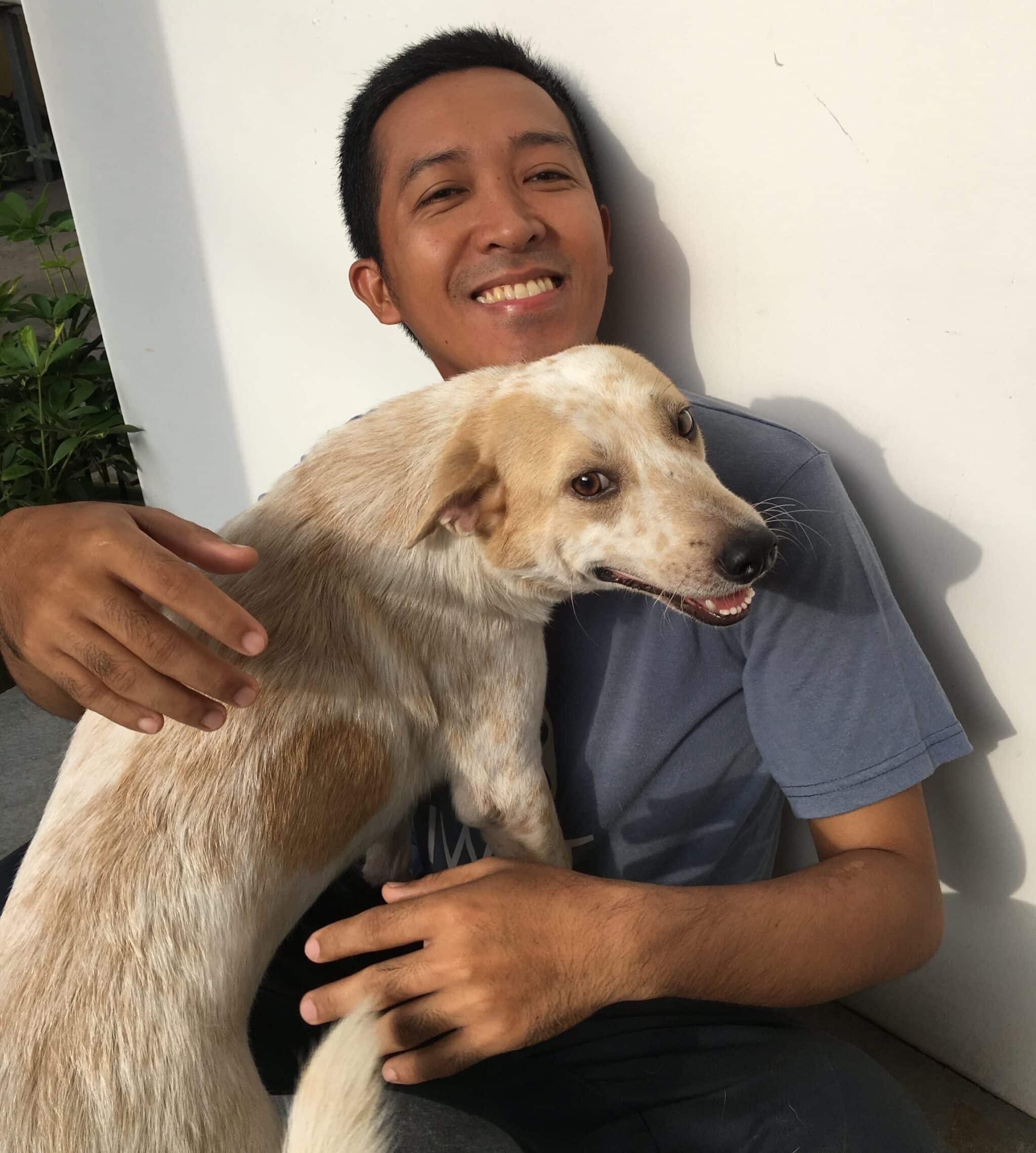 Dogs In The Philippines