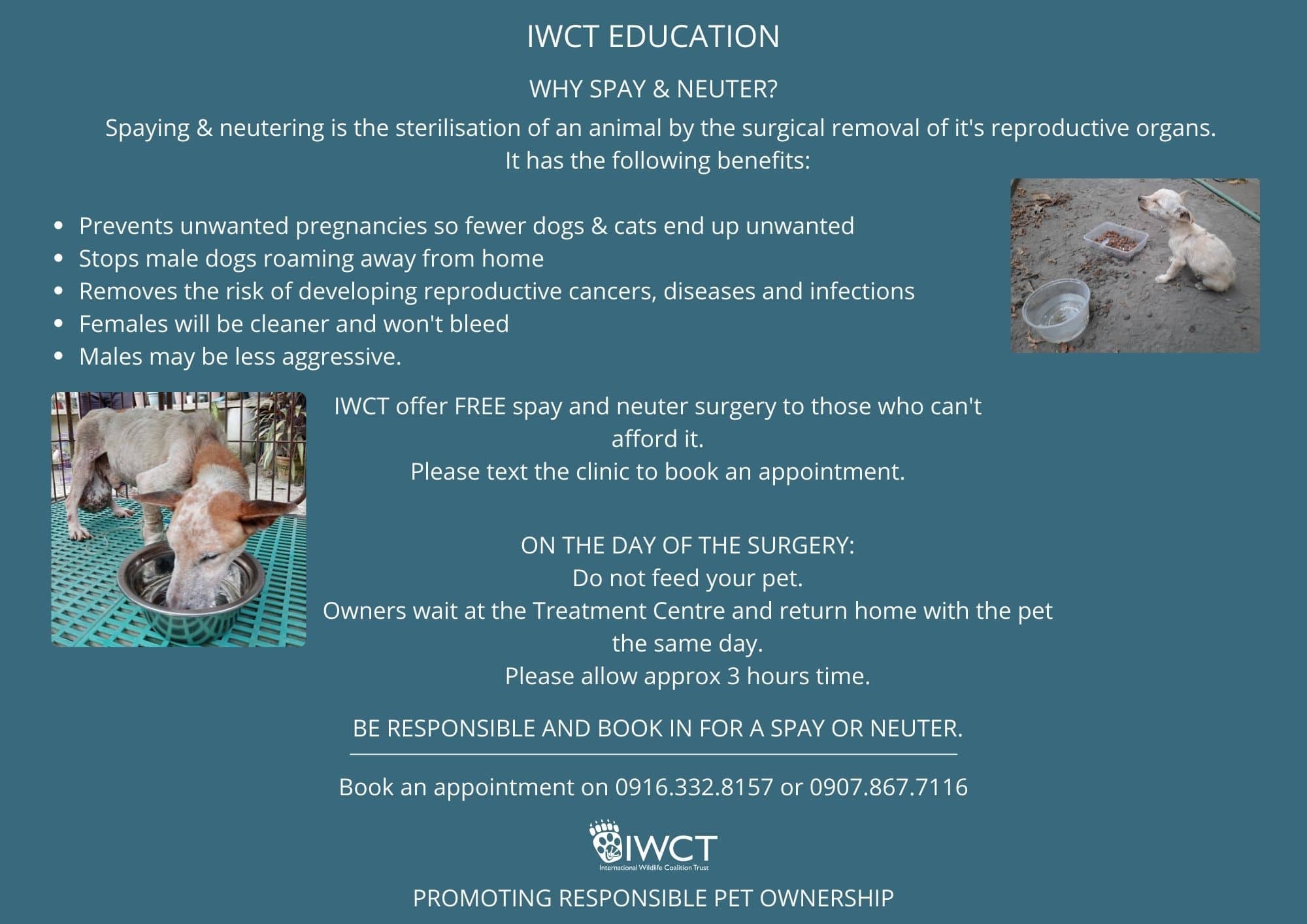 IWCT - News and Blog