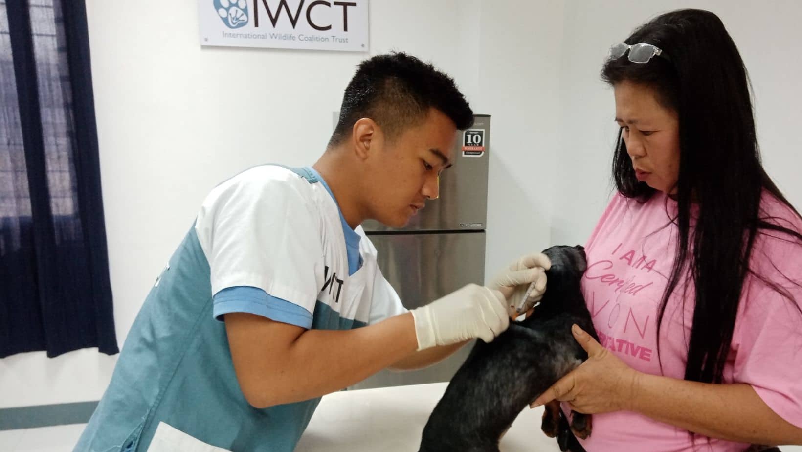 IWCT - Education Programme -Rabies In Dogs