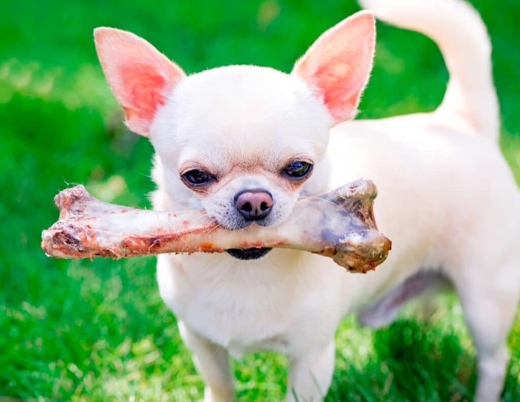 IWCT - Education Programme - Free Resources - IWCT