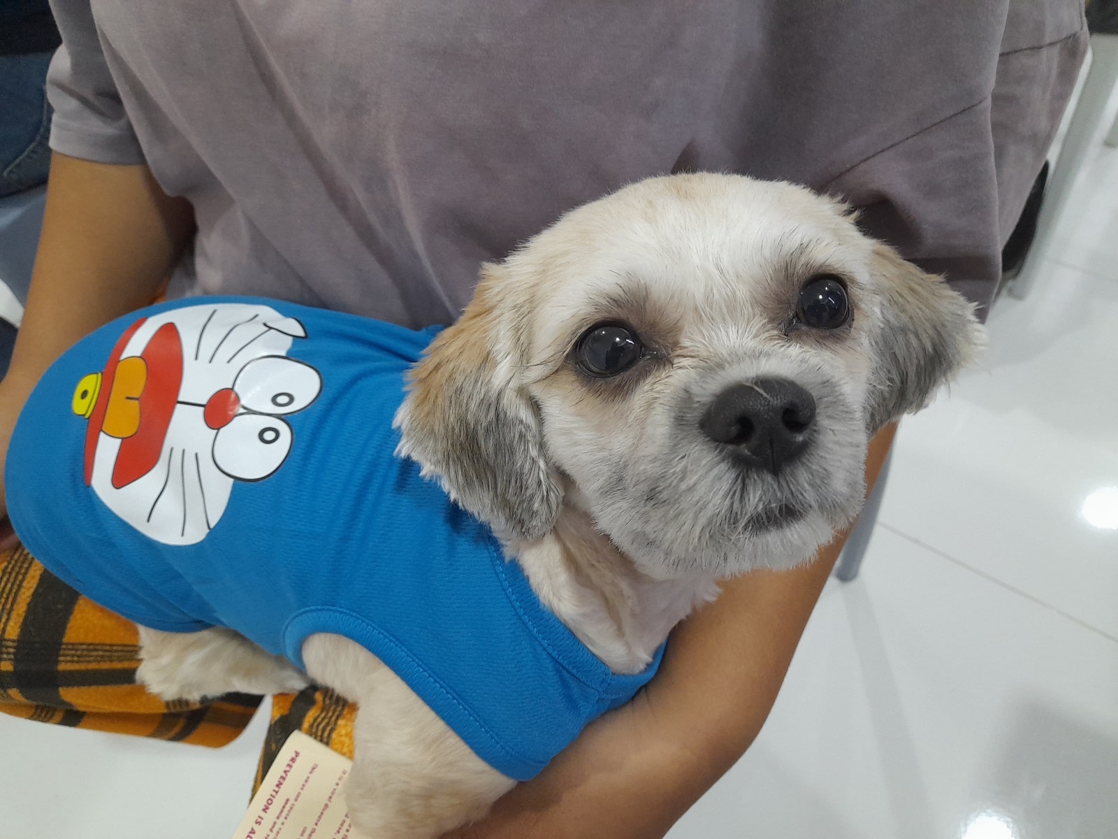 IWCT - News and Blog