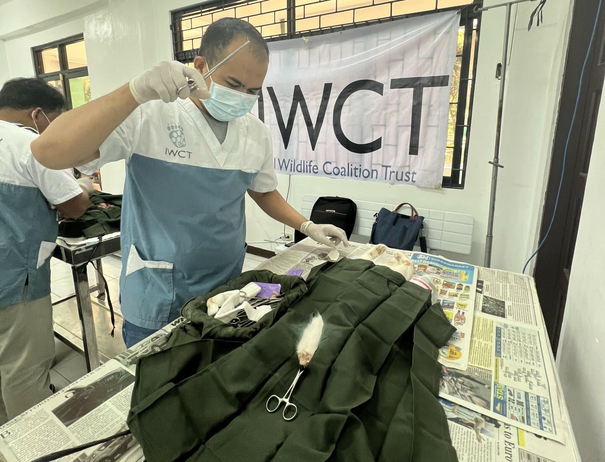 IWCT - News and Blog - Doc Marc