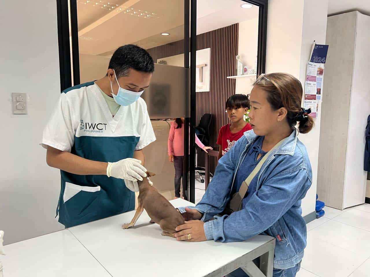 IWCT - News and Blog - Help IWCT At Christmas